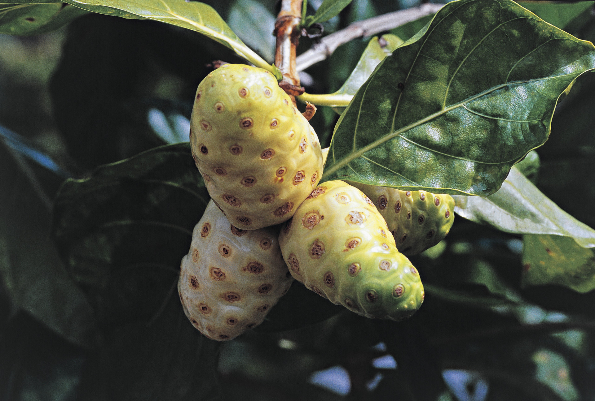 8 types of love to look out for, according to ancient Greeks