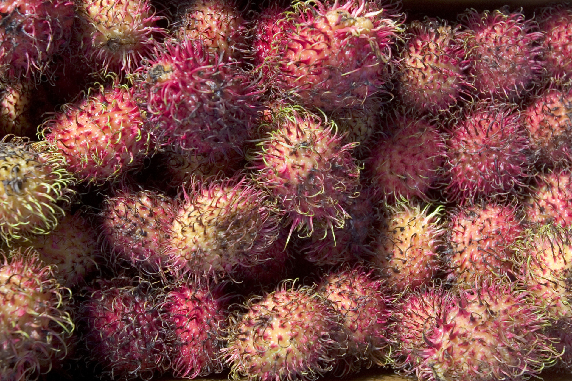 The world's most colorful and flavorful exotic fruits