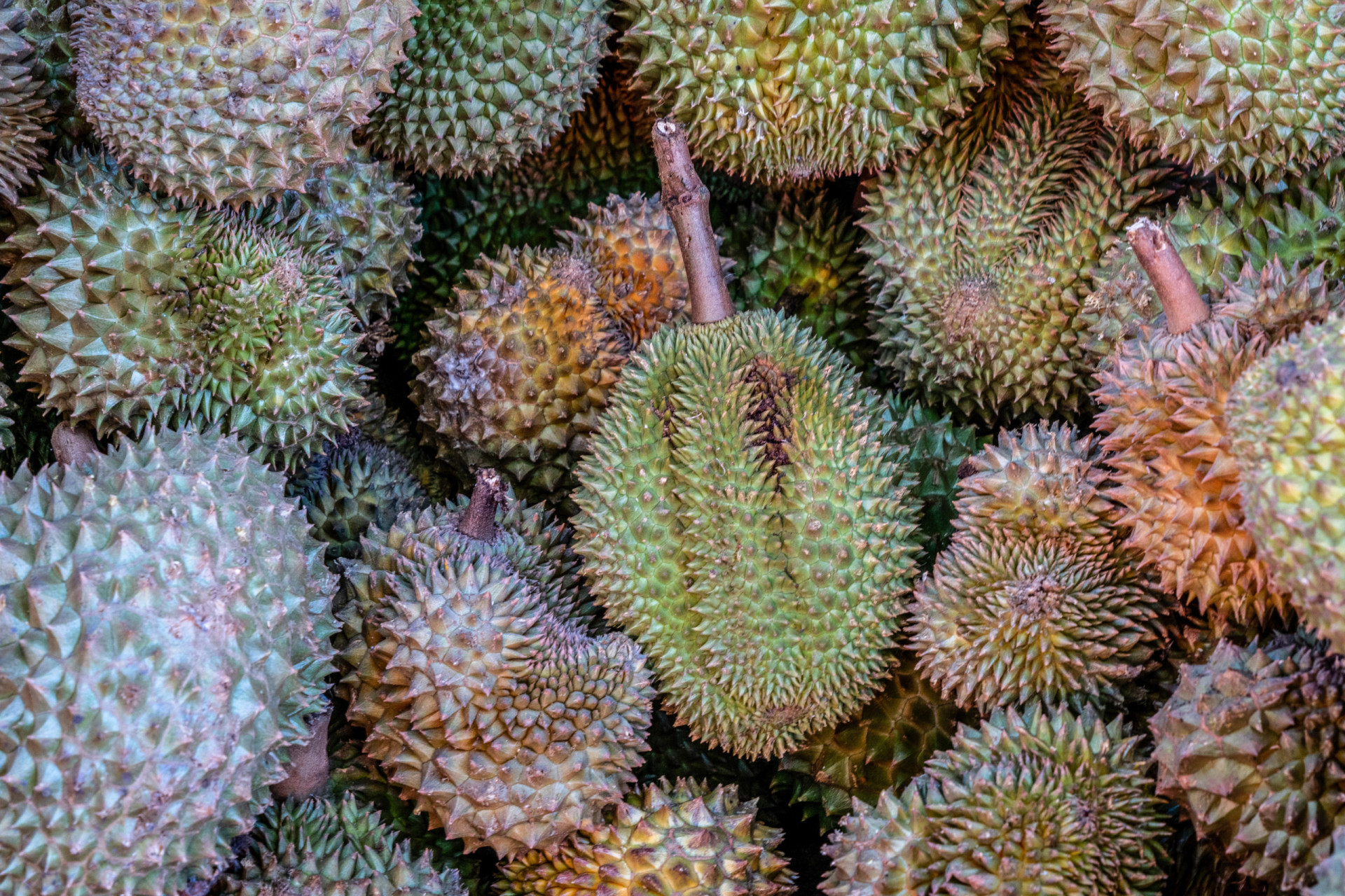 The world's most colorful and flavorful exotic fruits