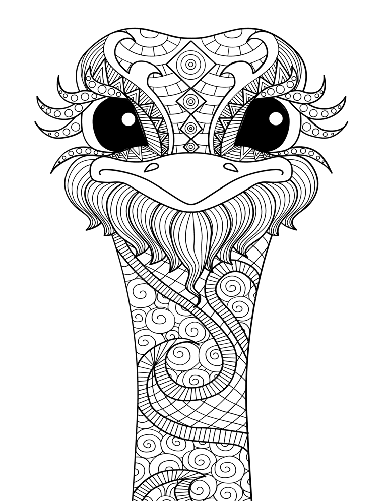 25 Animal Coloring Pages for Adults