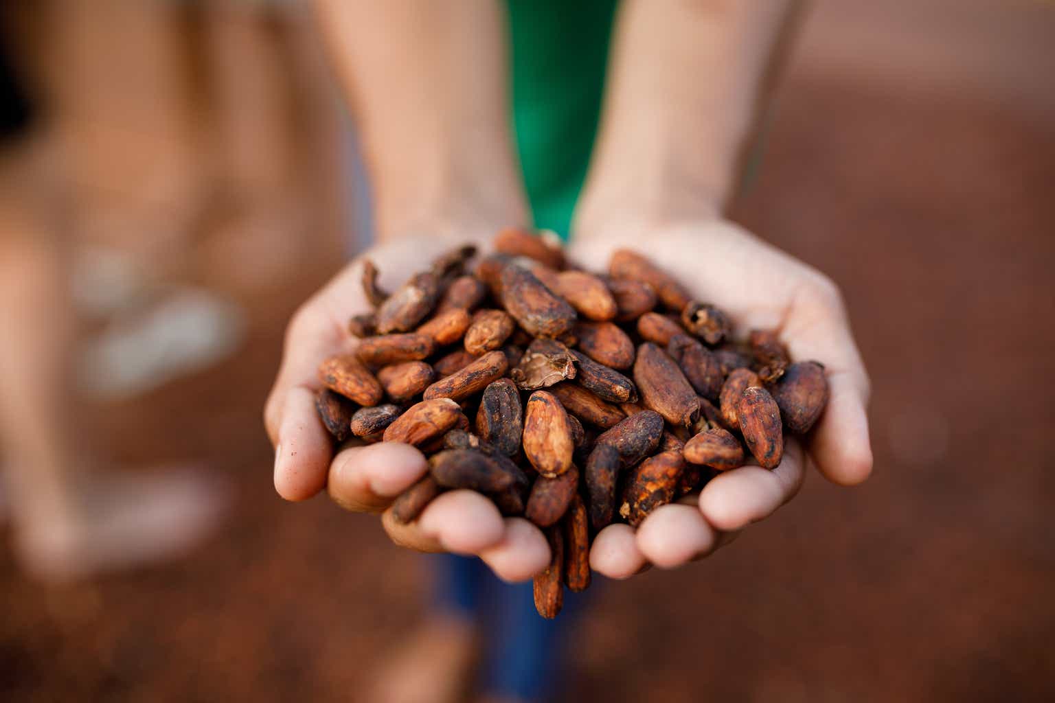 Commodity Roundup: Cocoa surges back to $10,000 a tonne on supply concerns