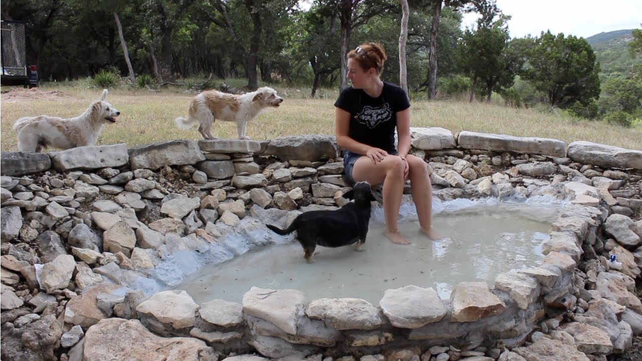 I Let Dogs Test Out My DIY Pool!