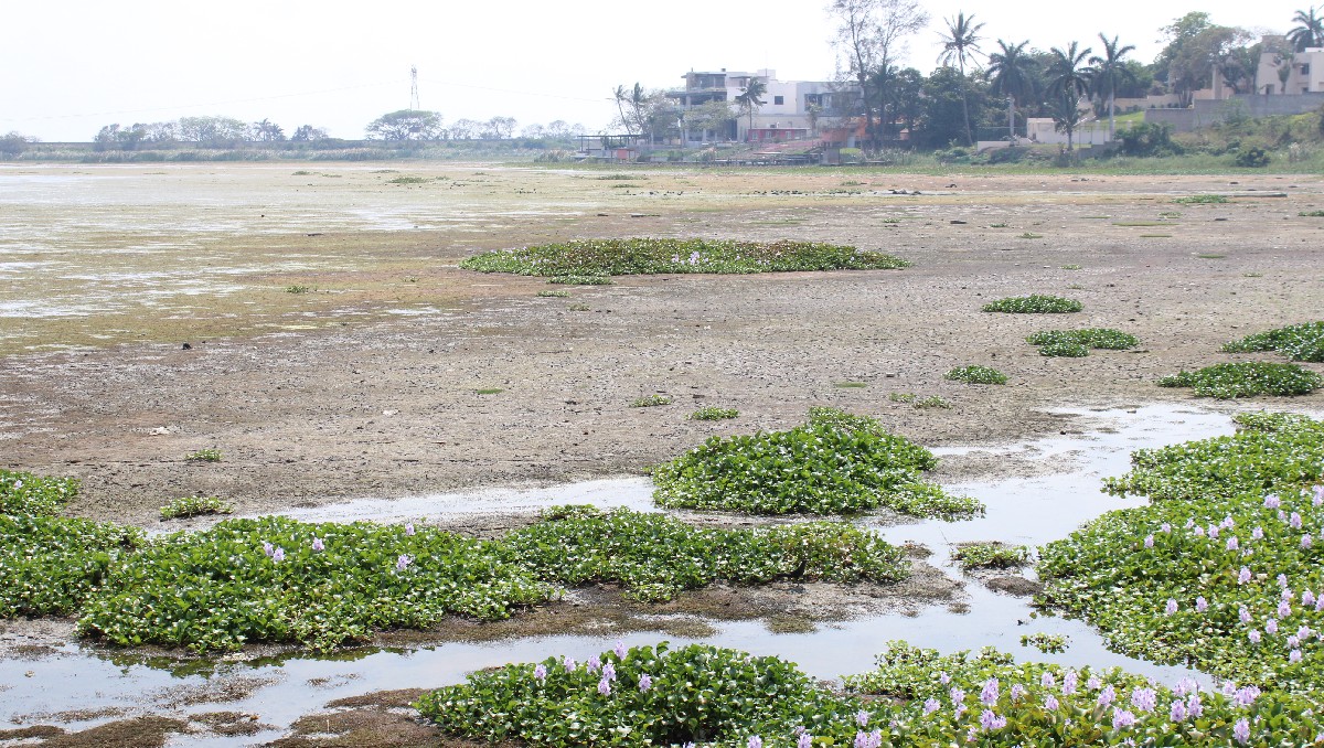 Tamaulipas tiene un alto estrés hídrico, dice WRI