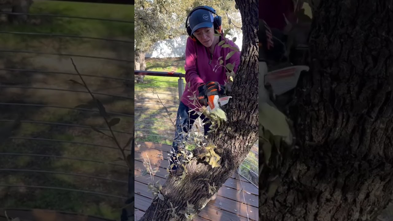 Powerful Stihl GTA26: Perfect tool for pruning jobs