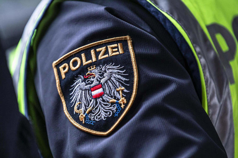 Dunkler Kastenwagen : Polizei warnt in Kärnten vor diebischen Handwerkern Dunkler Kastenwagen : Polizei warnt in Kärnten vor diebischen Handwerkern