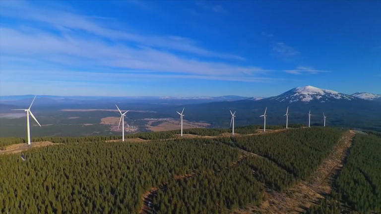 State attorneys general sue Trump administration over wind energy halt