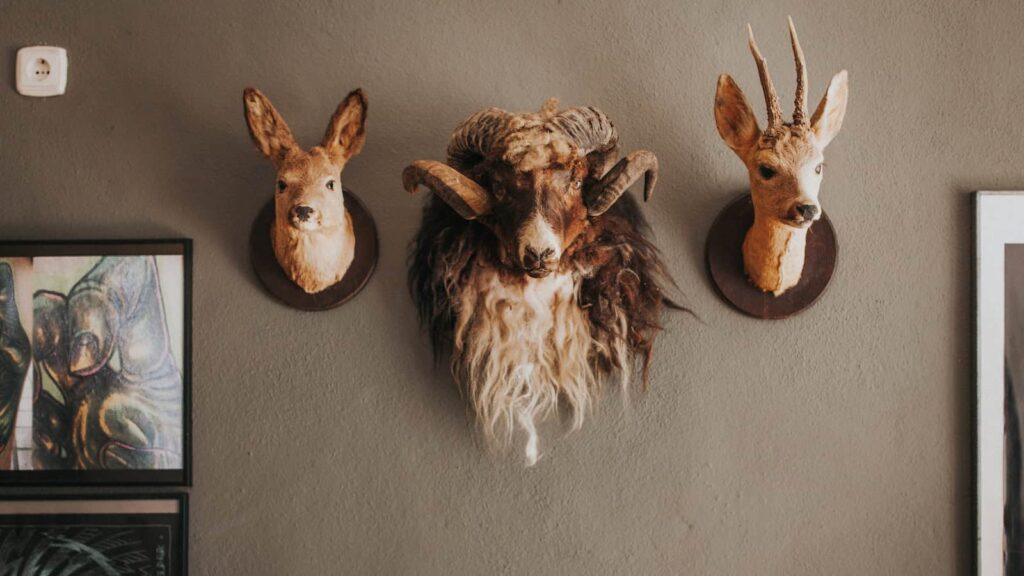 10 bizarre American home decor choices that surprise English people