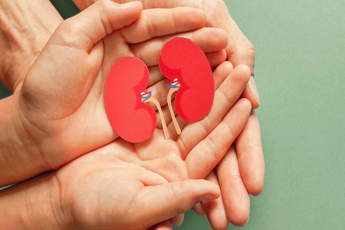 Health experts sound alert on kidney malfunction