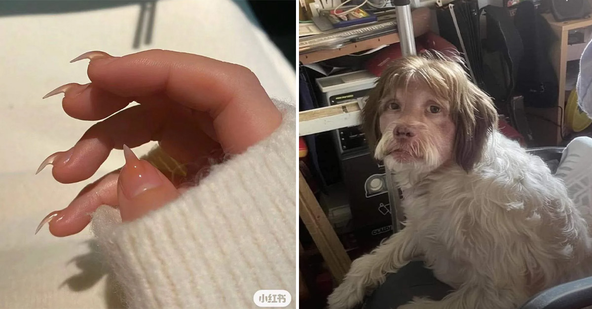 23 Oddly Terrifying Photos of ''Normal" Things