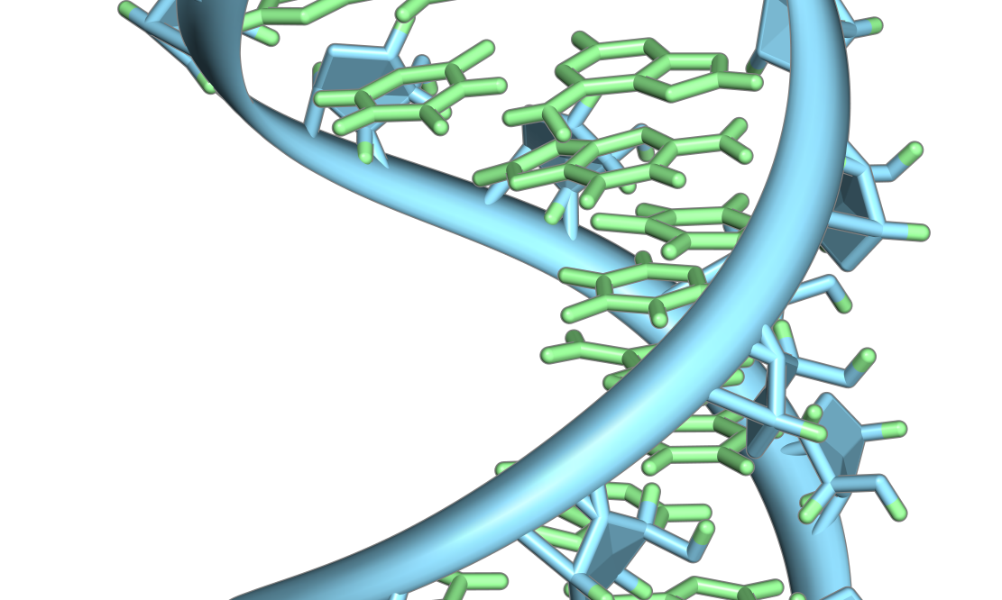 New RNA sequencing method reveals hidden layer of immune system control