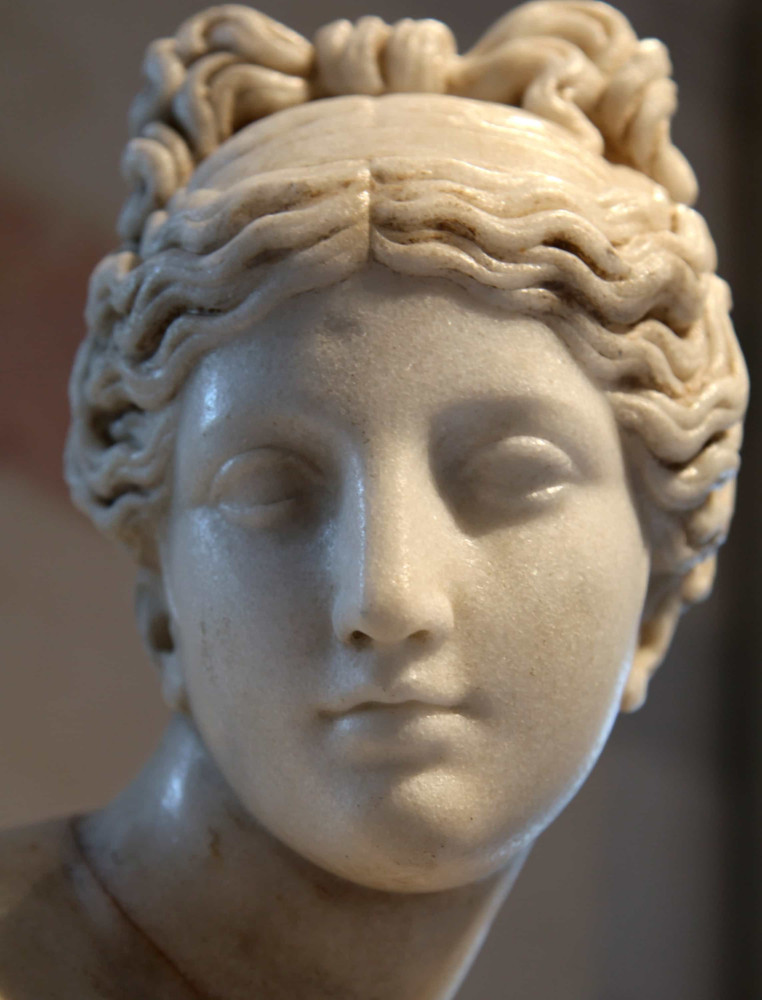 Why do roses hold such a special place in our hearts?