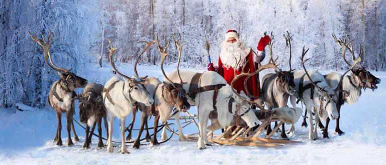 Discover the Untold Story Behind Santa’s Reindeer and Rudolph’s Rise to ...