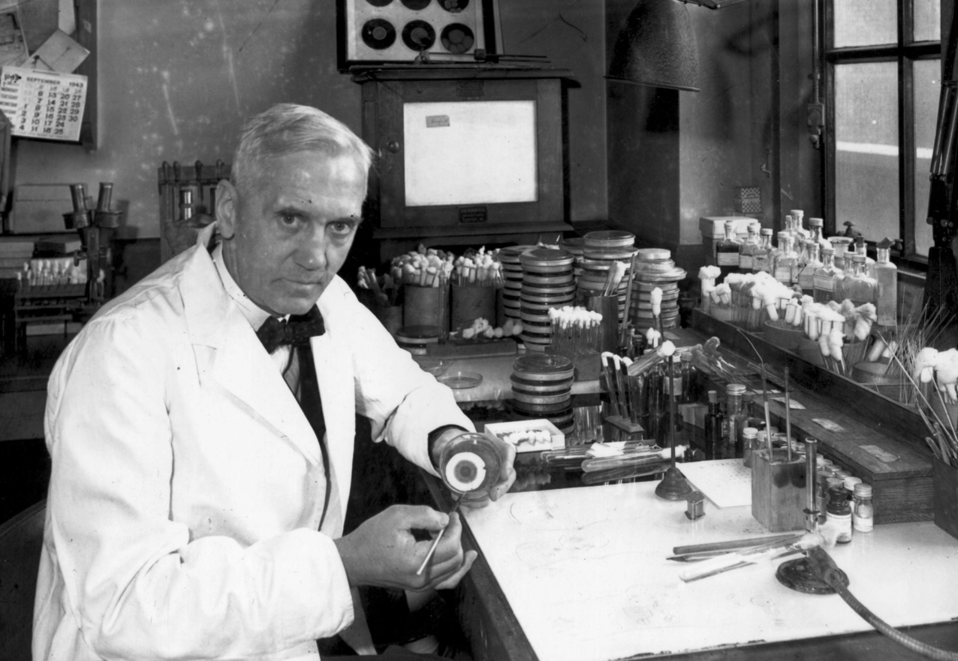 Antibiotiques : comment ça marche