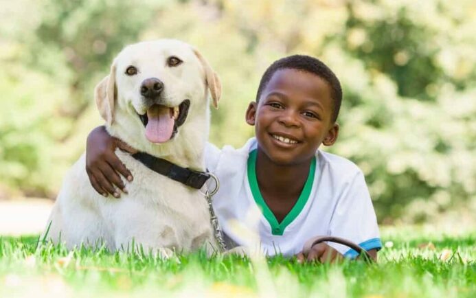 Ready to adopt? Discover the 18 best medium-sized family dog breeds