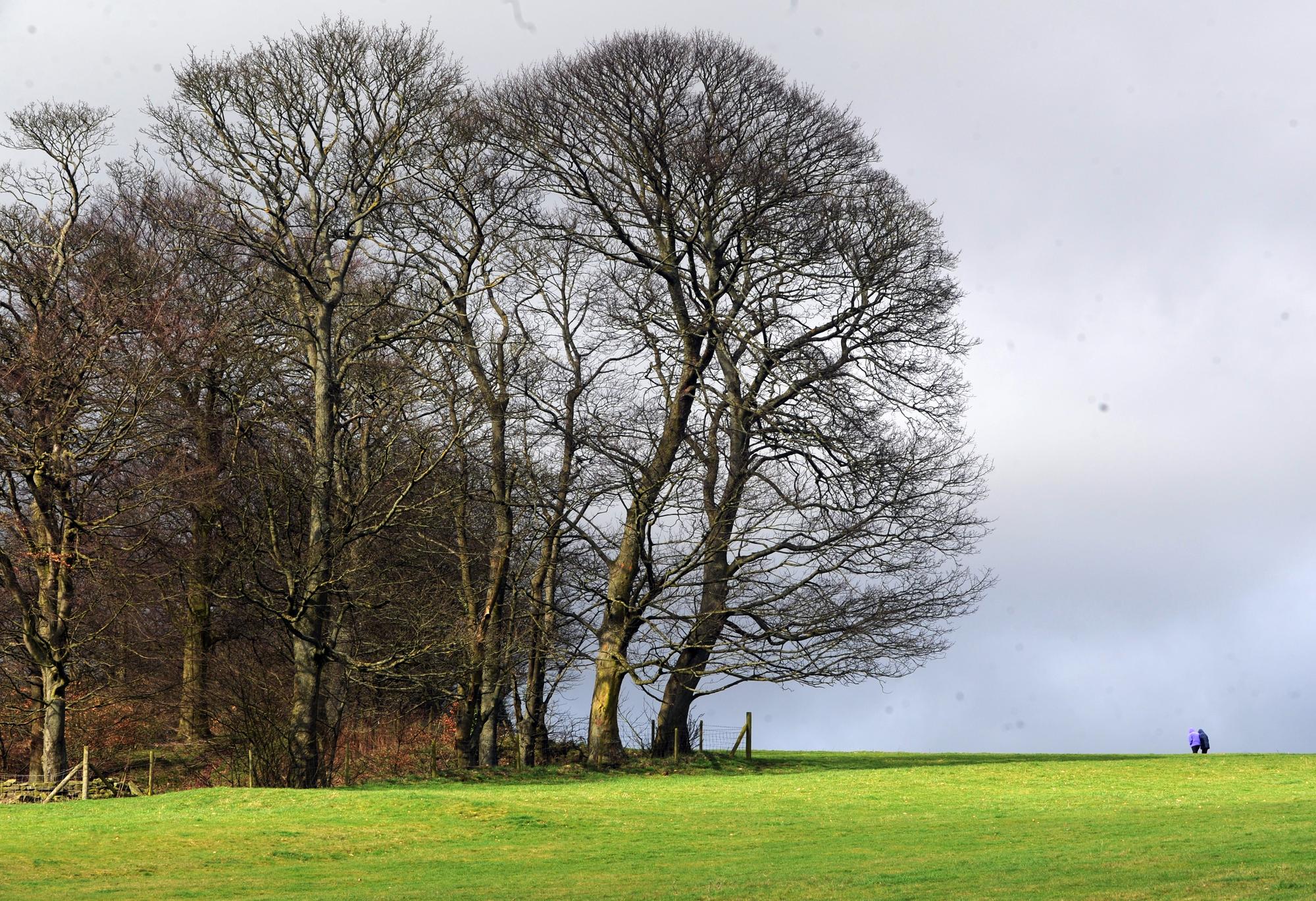 Rawdon Billing: Fury over plans for telecom mast on Leeds beauty spot ...