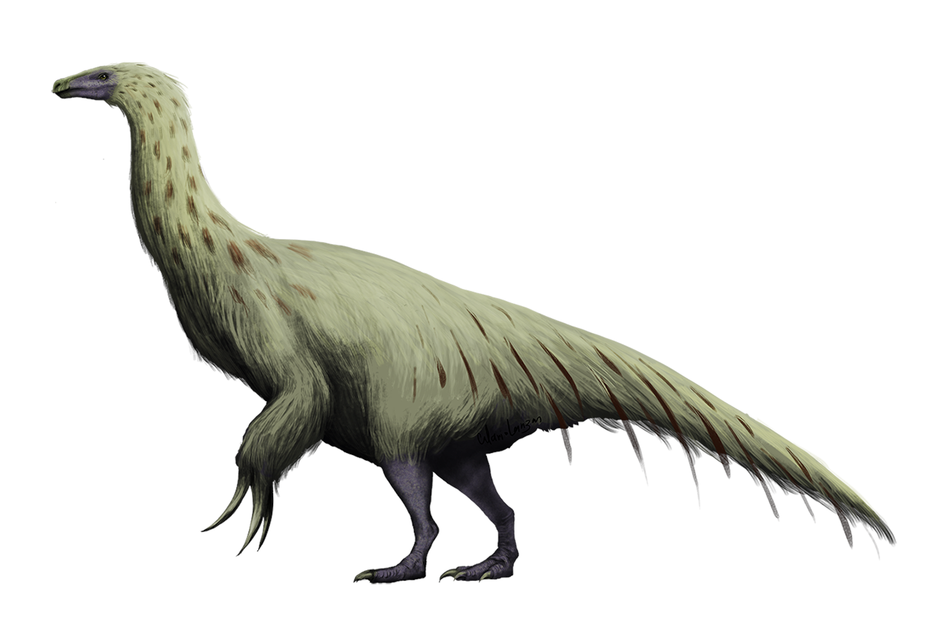 Odd prehistoric animals you never knew existed