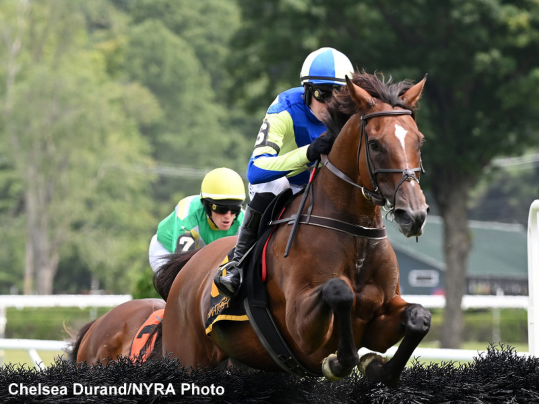 Steeplechase: Eclipse Award Winner Snap Decision Returns In Saturday's Gwathmey