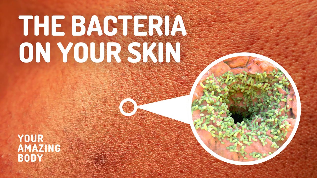 The surprising types of bacteria living on human skin