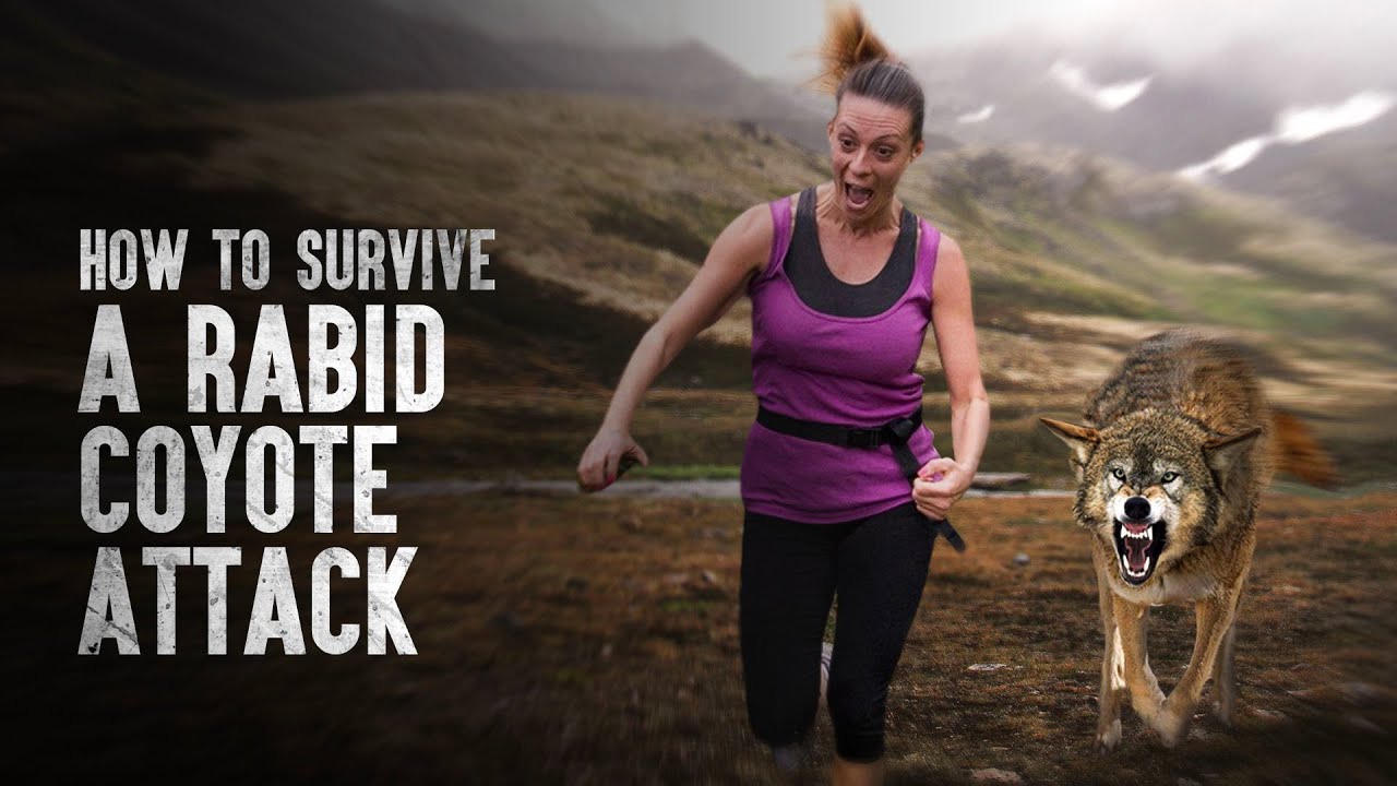 Rabid Coyotes Are a Nightmare—Here’s What to Do