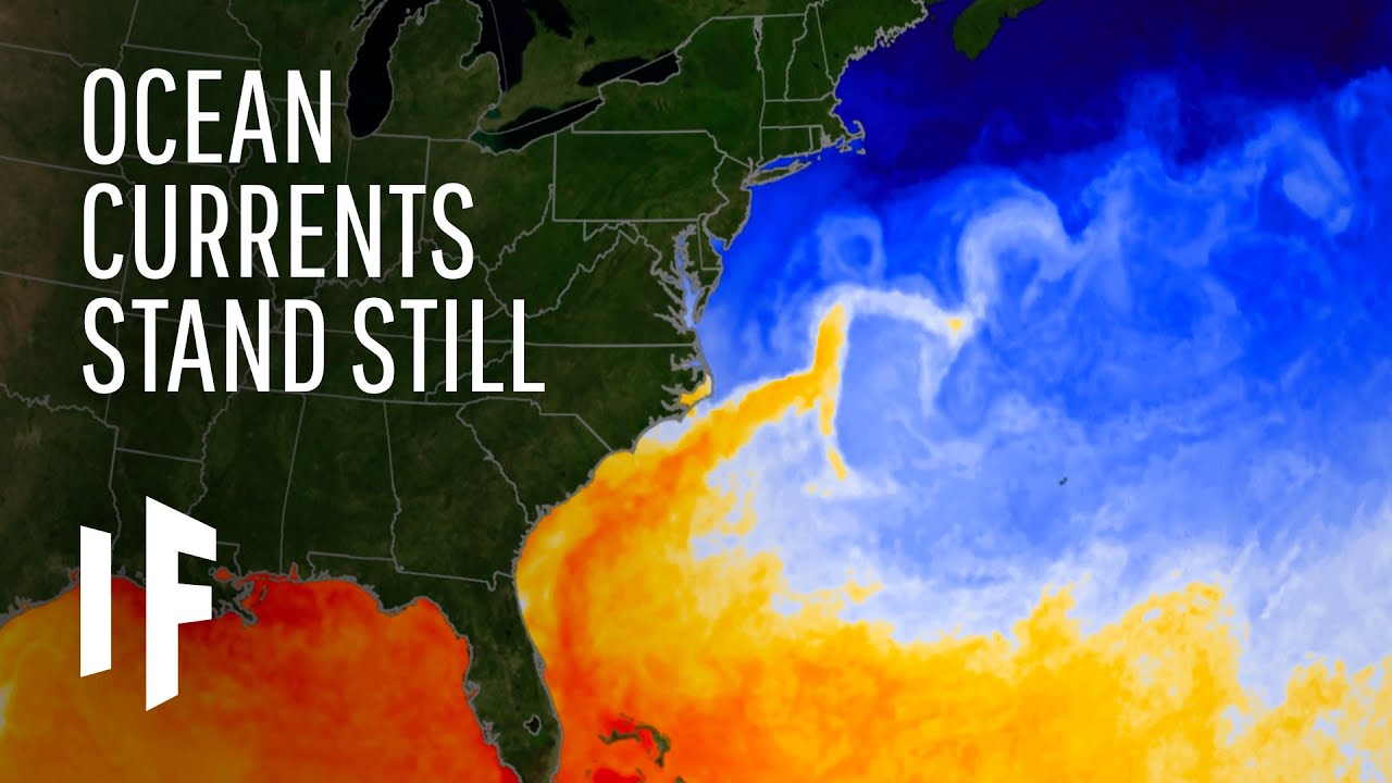 Gulf Stream Collapse: The Climate Catastrophe