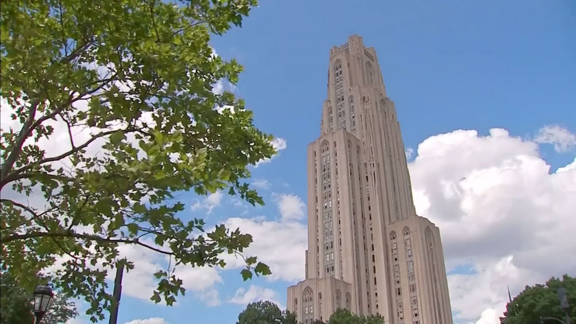 Pitt staff members vote to join United Steelworkers union