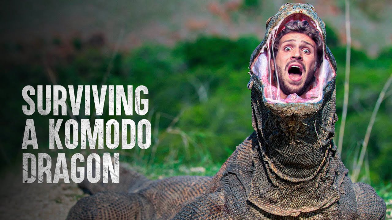 I survived a Komodo dragon encounter