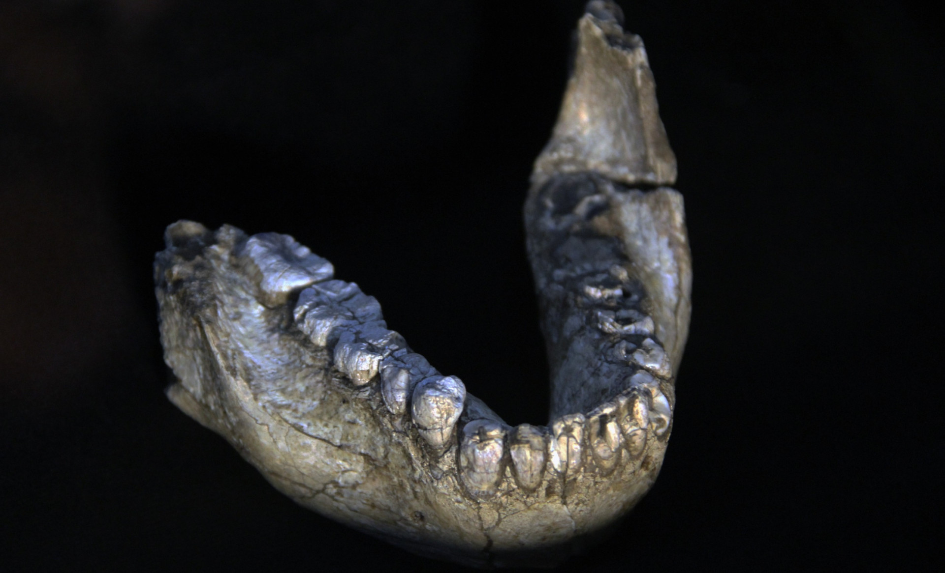 Digging up the past: What it takes to be an archaeologist