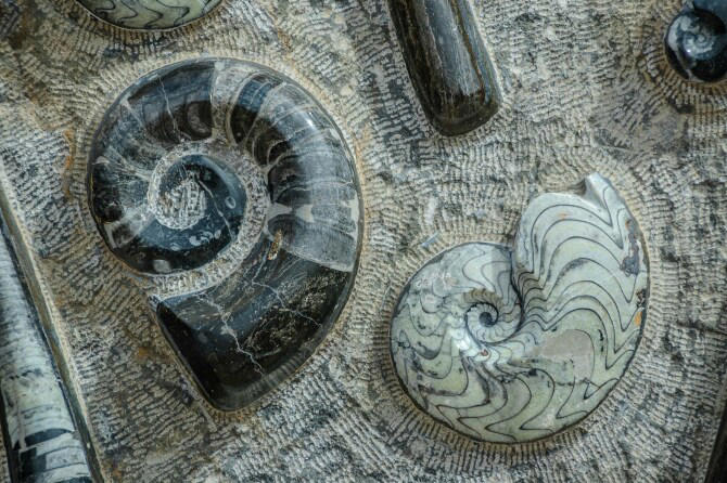 What Is Carbon? Life's Most Crucial Element, Explained