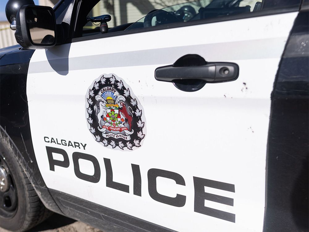 Calgary police respond to assault near Chinook Centre