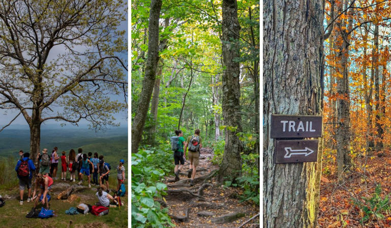 14 Spectacular and Easy Hikes in Southern Vermont