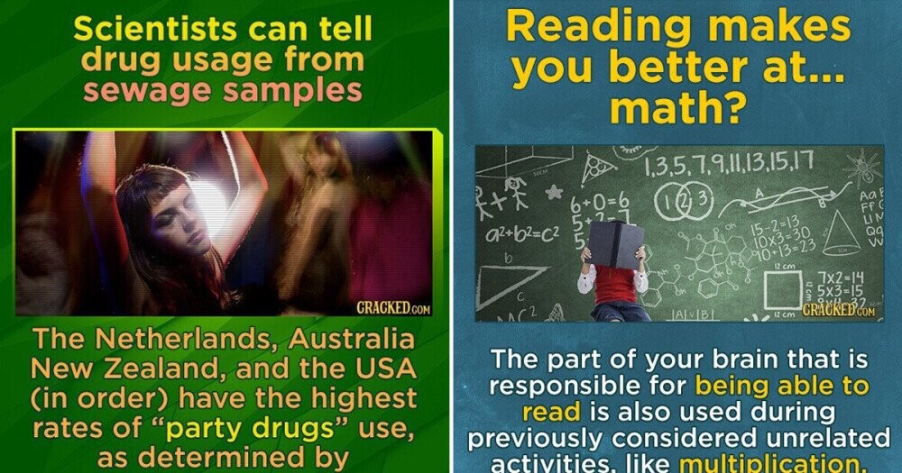 31 Wild Discoveries and Unfathomable Findings That Deserve a Place in ...