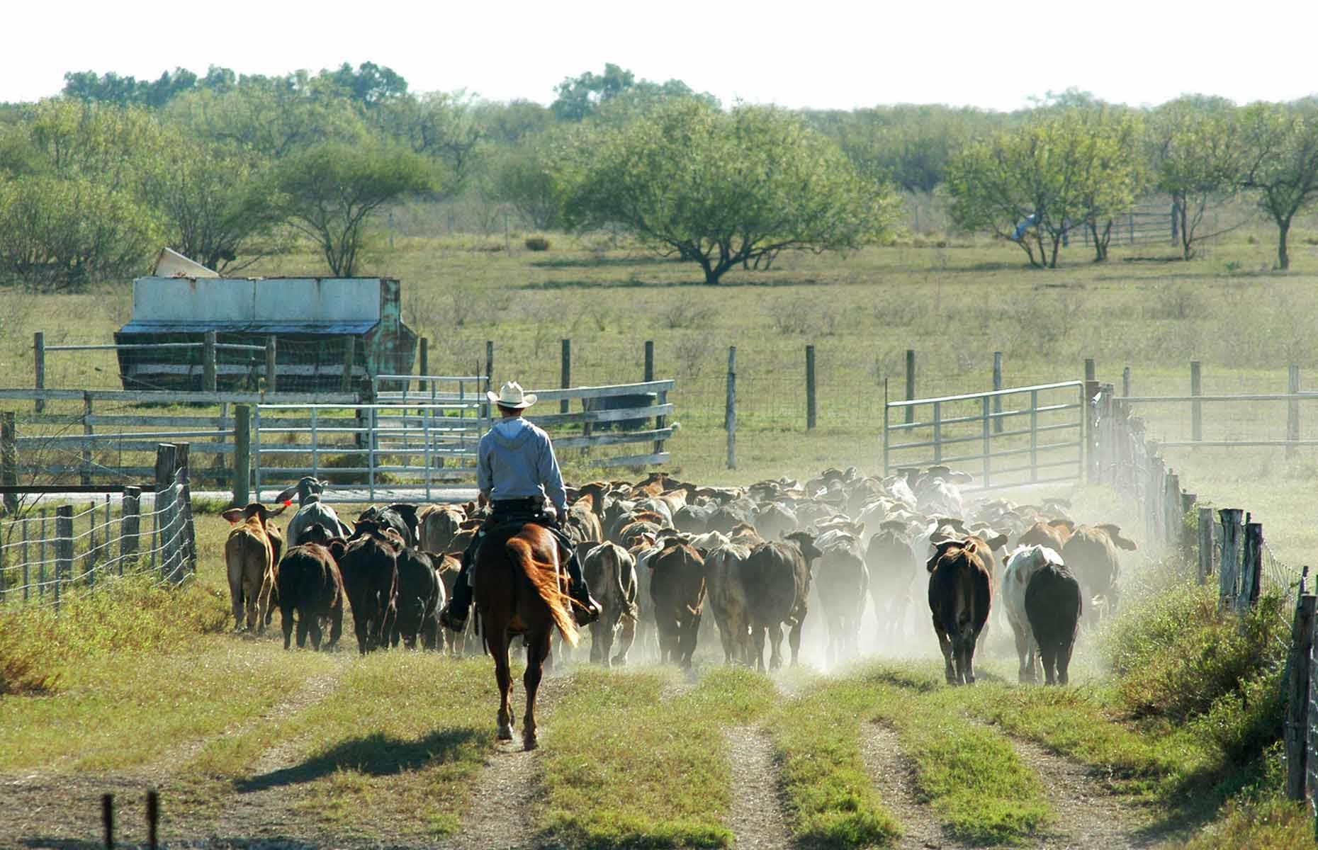 Explore six historic ranches that define America's Old West
