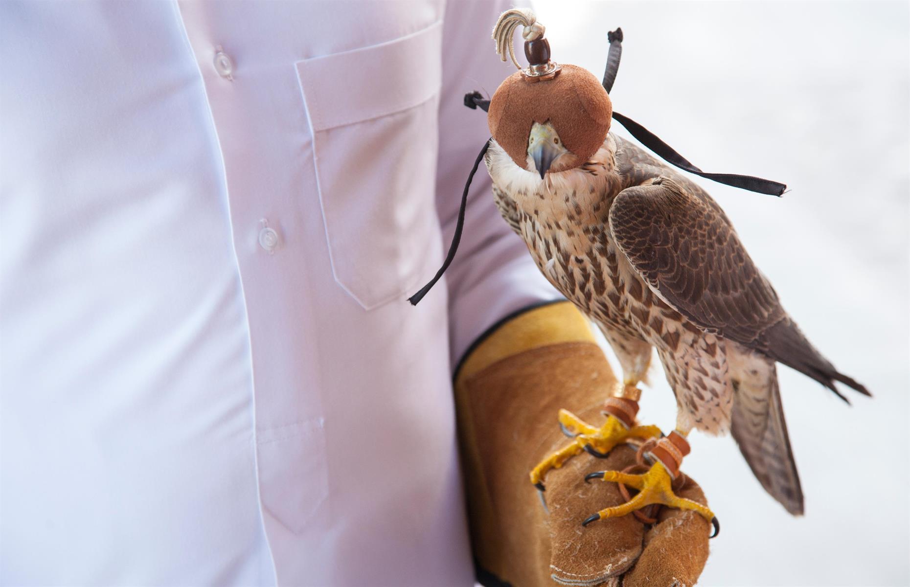 23 weird and wonderful flying facts that might surprise you