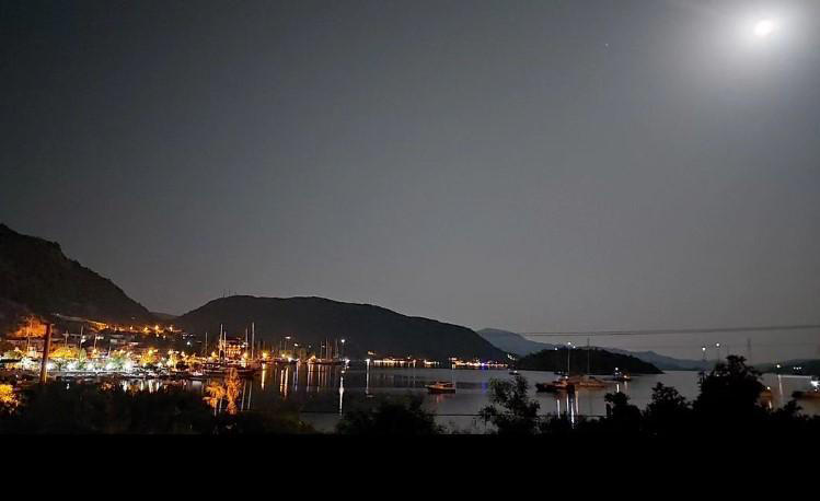 Ünlü oyuncu İznik'te arsa aldı... İlk zeytin hasadını yaptı!