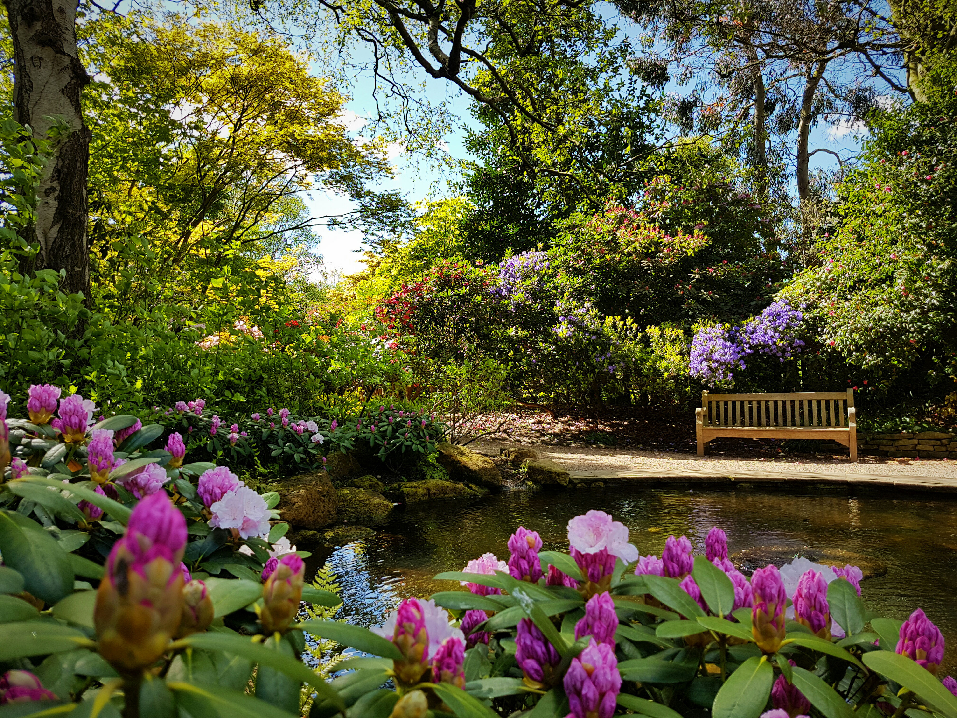 15 best days out in Birmingham and West Midlands perfect for the hot ...