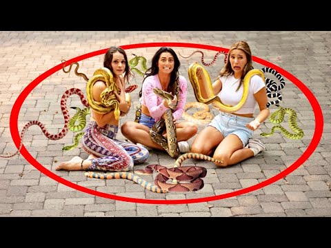Last to Leave a Circle Full of Snakes Wins Big