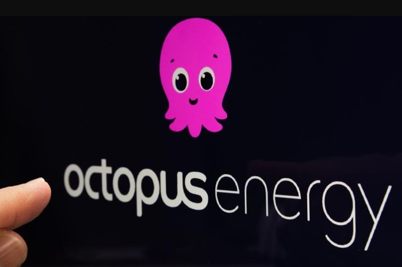 Octopus Energy offers £200 for vulnerable customers - how to apply