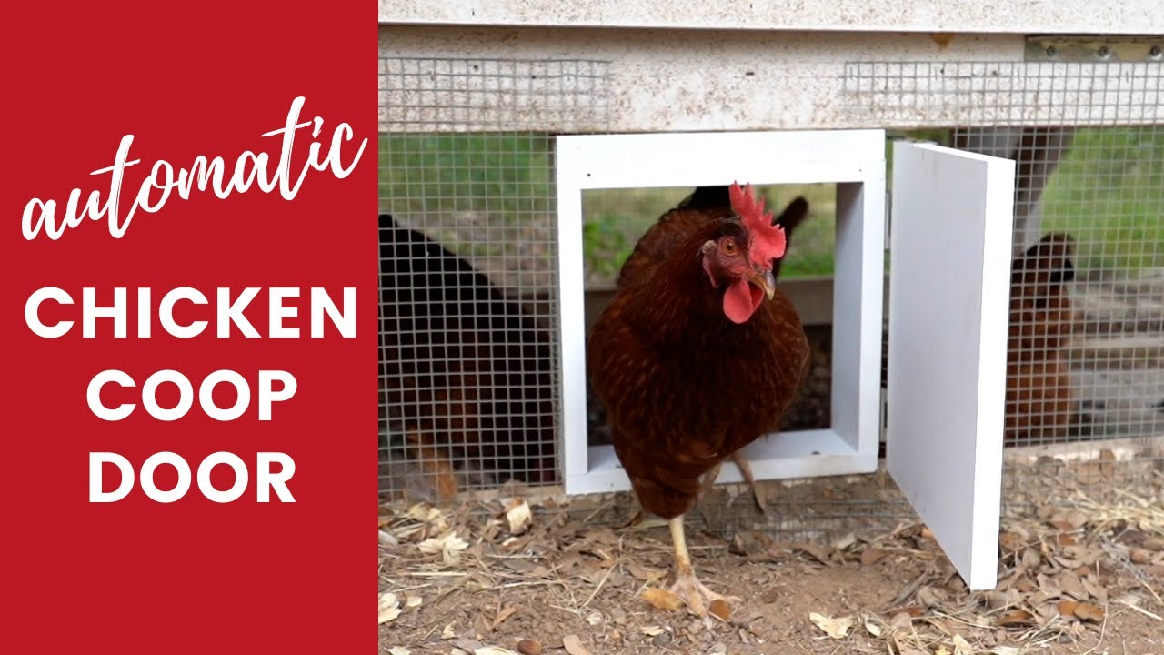 DIY Chicken Coop Door That Opens Automatically