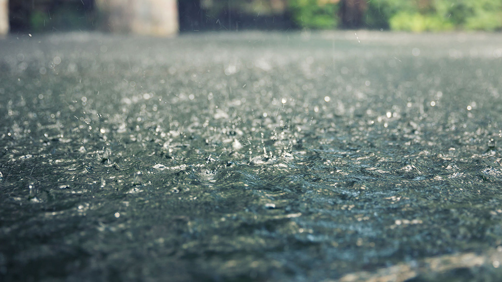 Met Office daily weather: Sunshine, showers, and periods of more ...