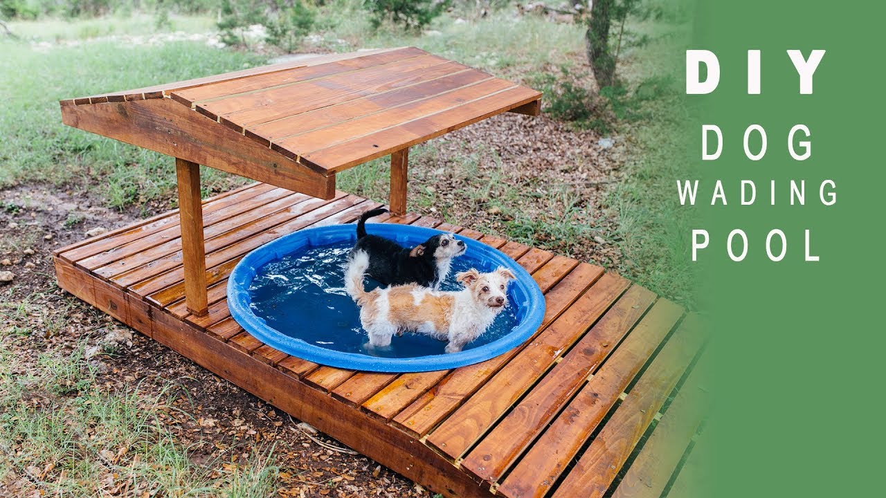 Build a dog wading pool for backyard summer fun