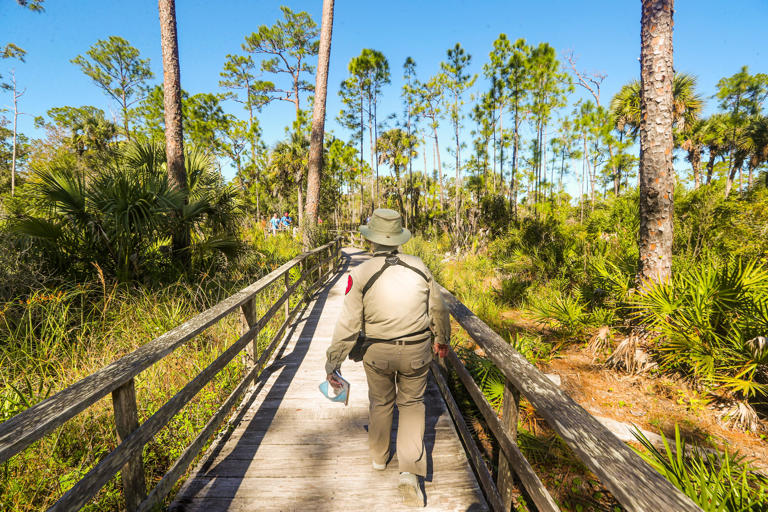 Bucket list: 5 things to do in Naples includes cars, creatures, nature ...
