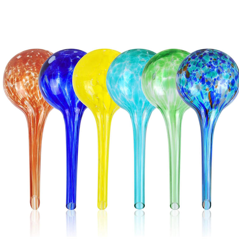 How to care for a fiddle leaf fig: a step-by-step guide from our plant ...