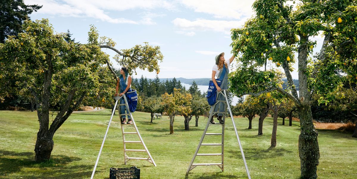 Meet the Jam-Maker Who Escaped NYC for Island Orchards