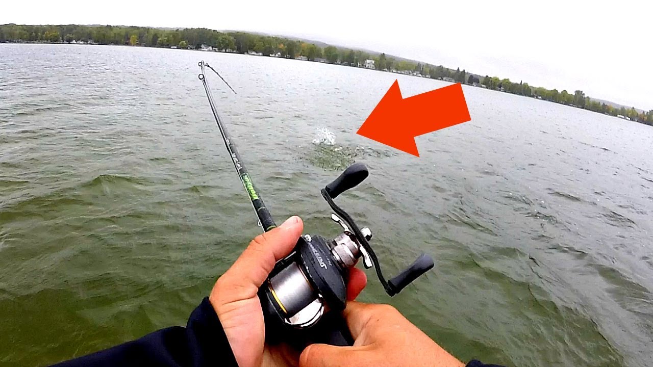 Biggest bass of my life finally caught on camera