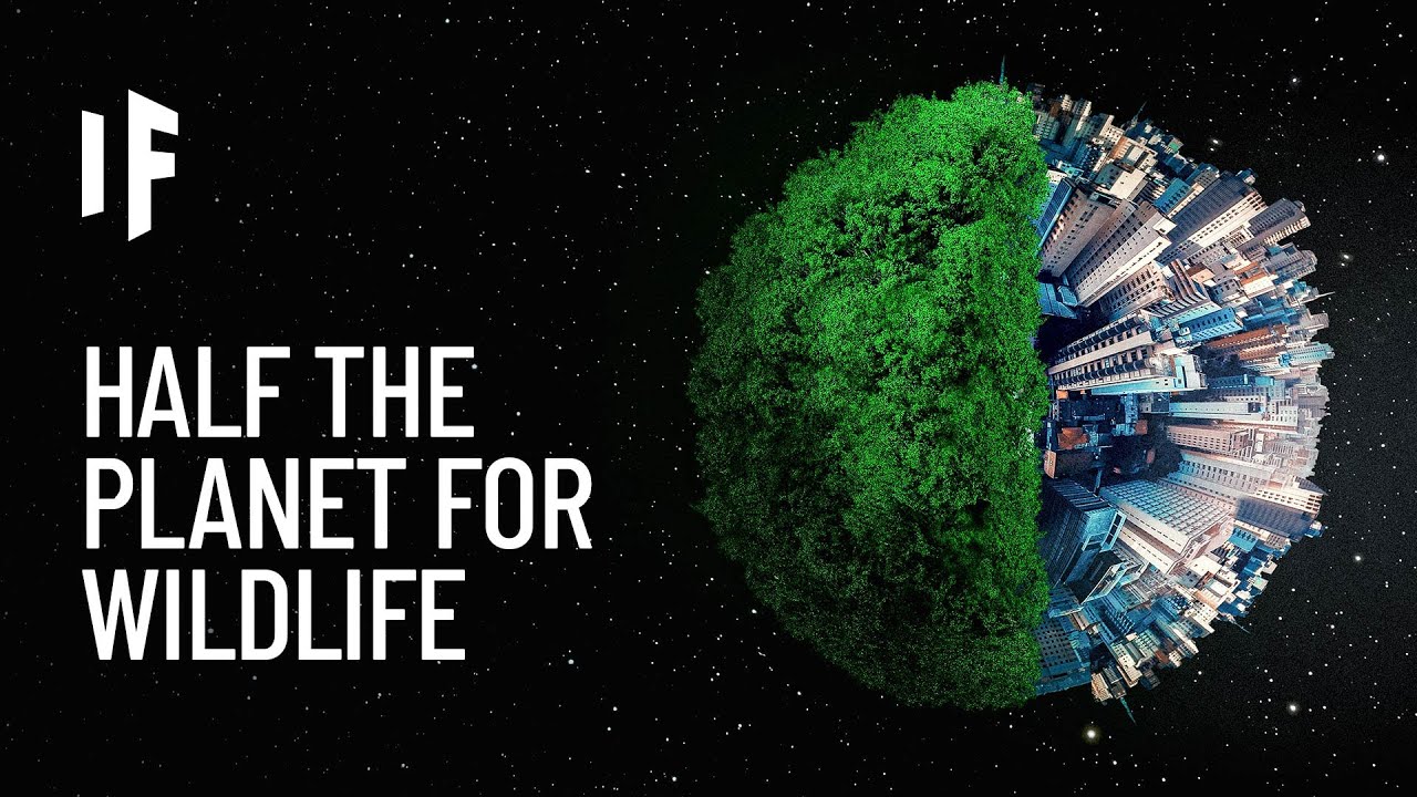 Imagining setting aside half the planet for wildlife