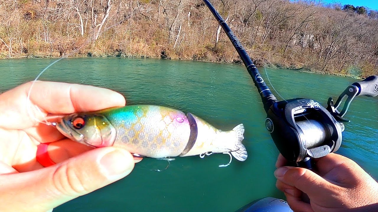 New swimbait destroyed by aggressive trout in river fishing