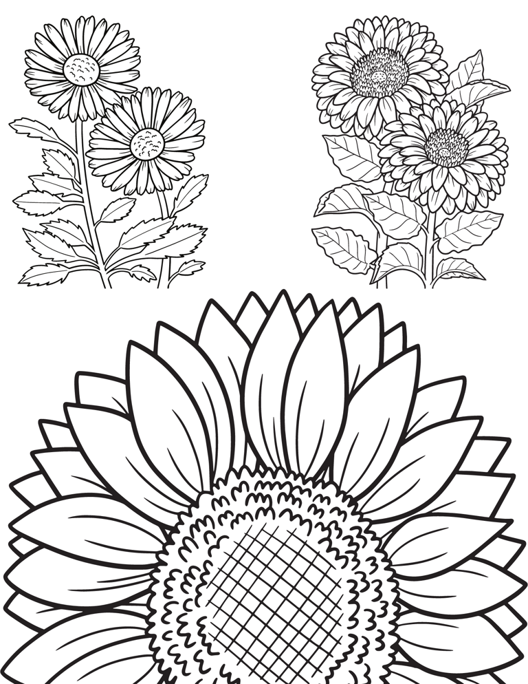 8 Free Sunflower Coloring Pages