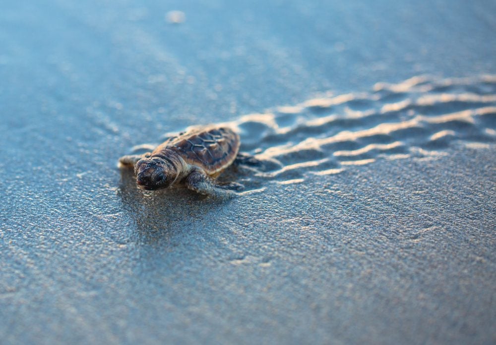 20 weird and amazing things that only happen in the summer