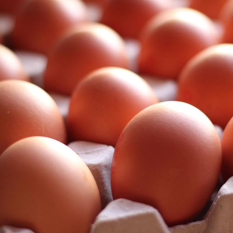 Rappel produit : ne consommez surtout pas ces œufs, ils pourraient être ... Rappel produit : ne consommez surtout pas ces œufs, ils pourraient être ...