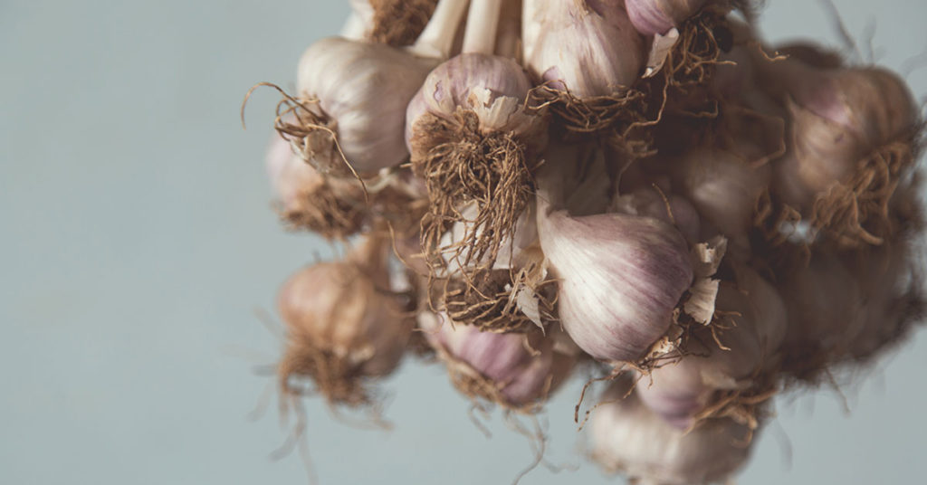11 Awesome Ways Growing Your Own Garlic Can Save You Money